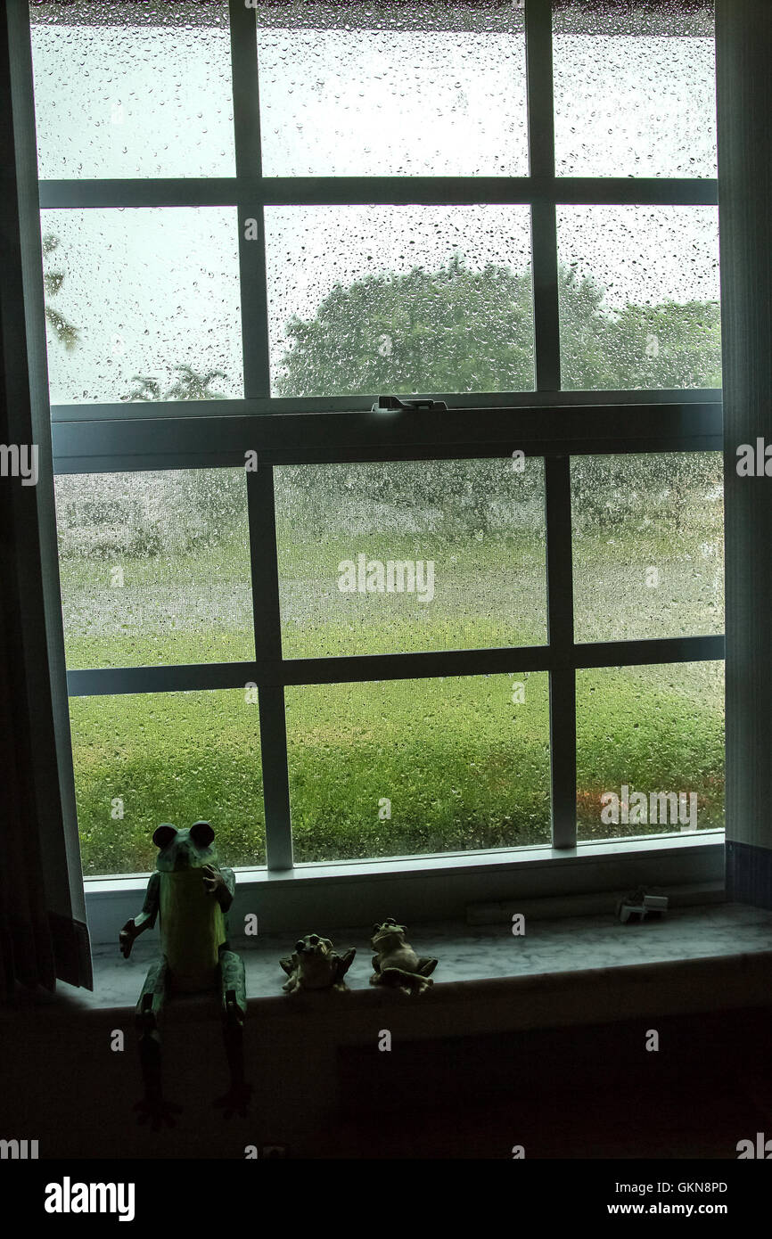 Raining on Screen Door Stock Photo - Alamy