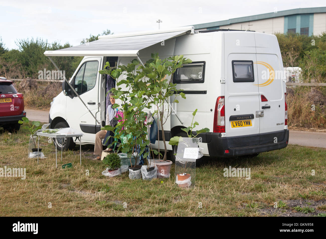 Car boot sale plants hi-res stock photography and images - Alamy