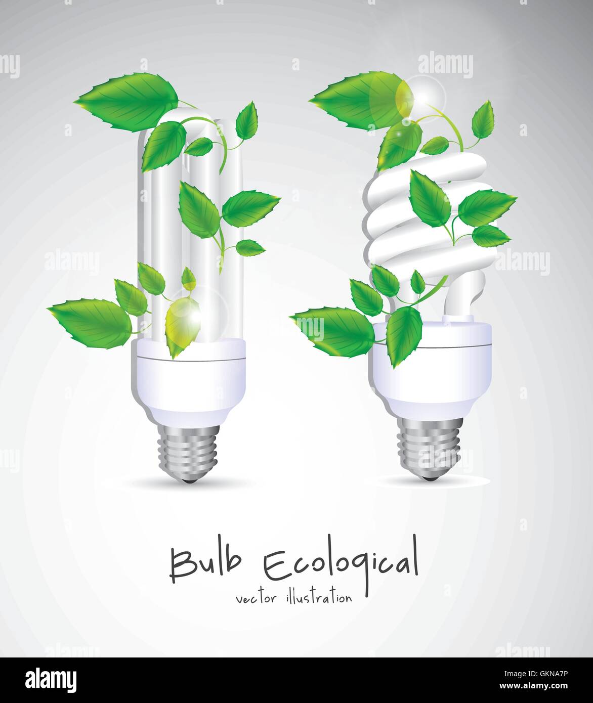 Illustration of eco bulb surrounded by plants and leaves vector Stock ...