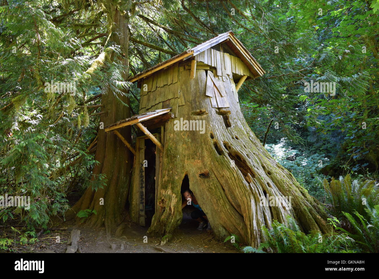 Fun stump tree house Stock Photo - Alamy