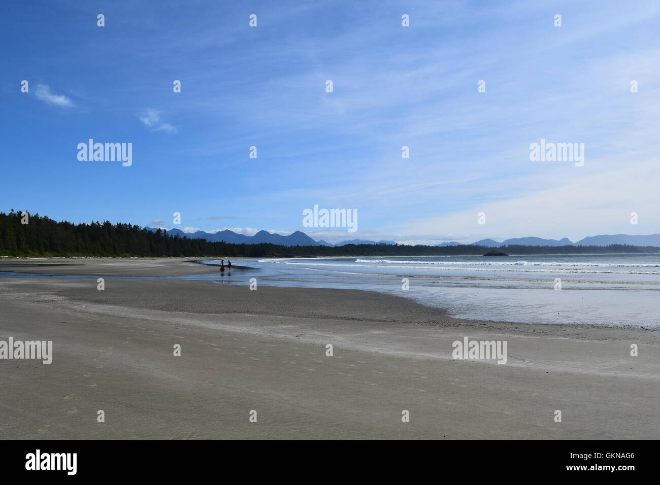 Long beach vancouver island hi-res stock photography and images - Alamy
