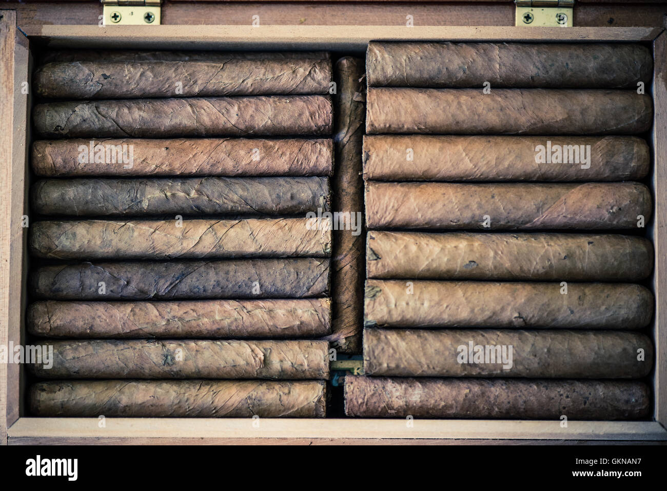 inside humidor box full of cigars, overhead view Stock Photo - Alamy