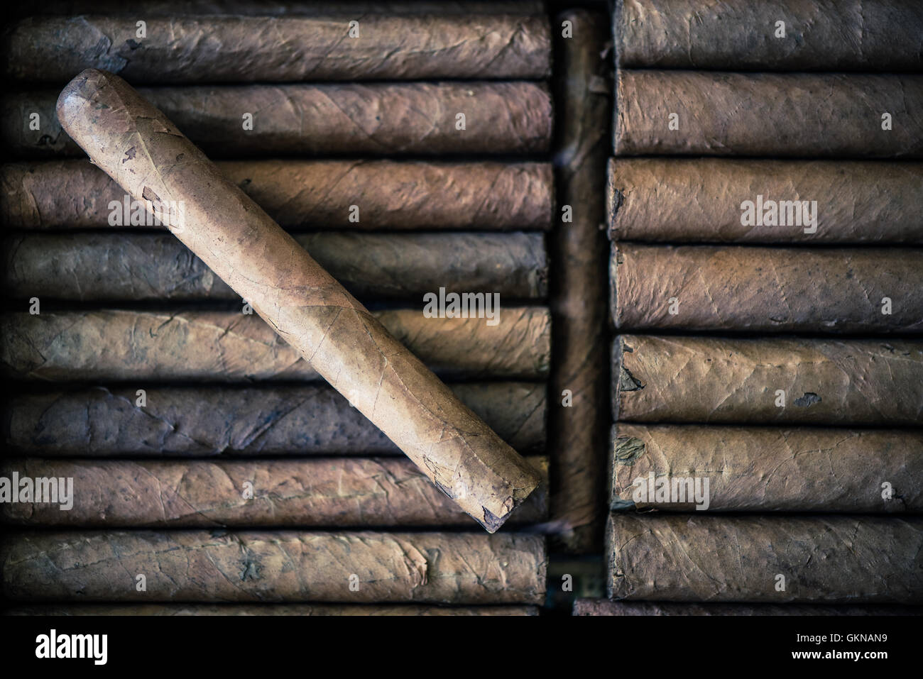 inside humidor box full of cigars, overhead view Stock Photo - Alamy