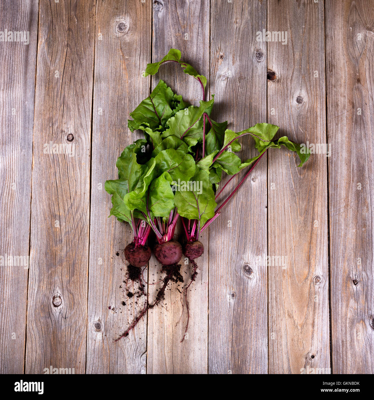 Overhead view of freshly harvested beets from garden on rustic wooden ...