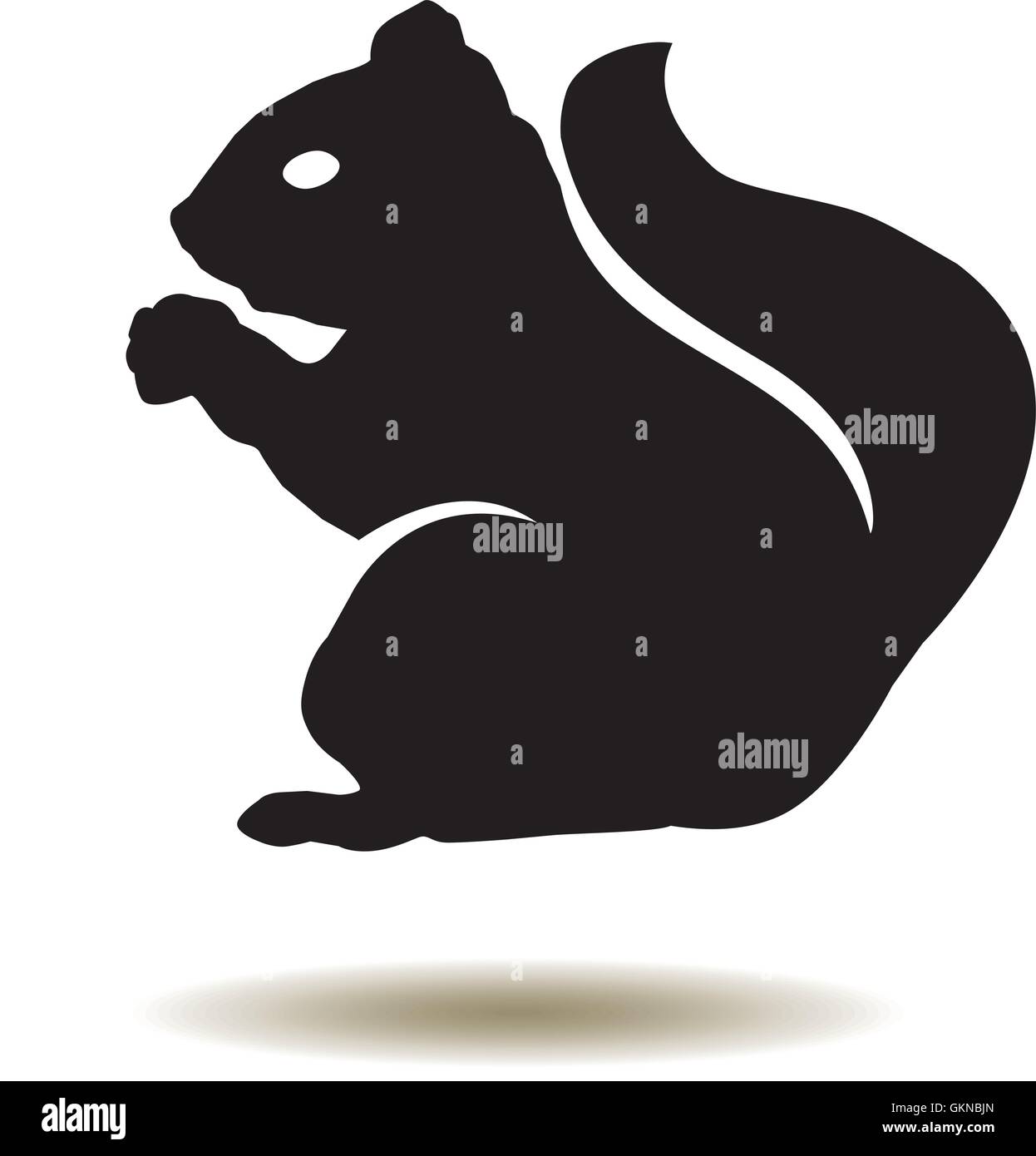 Squirrel view Stock Vector Images - Alamy