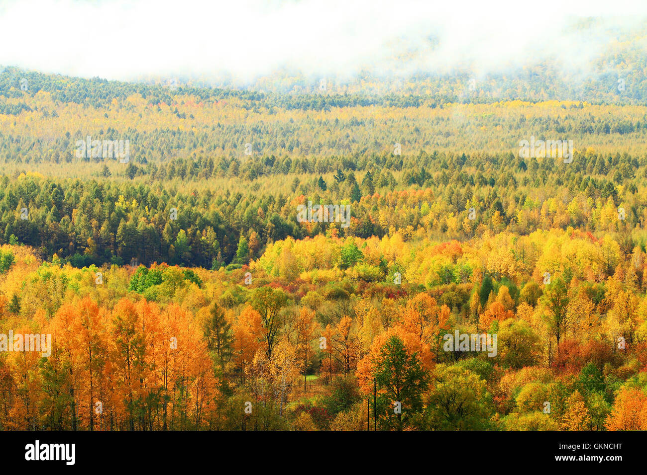 Greater khingan range hi-res stock photography and images - Alamy