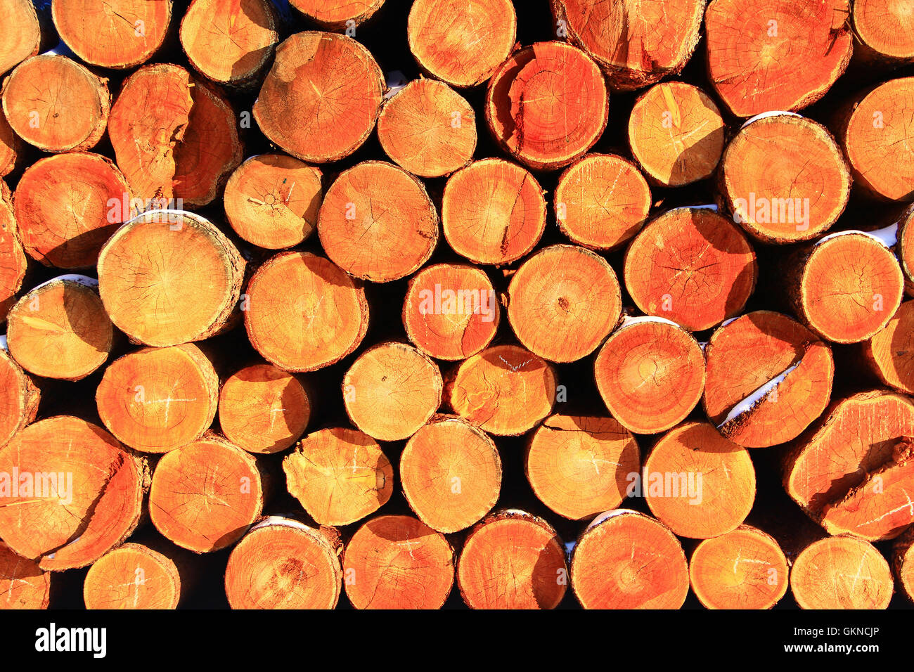 Accumulation of wood on the forest farm of Greater Khingan Range, China ...
