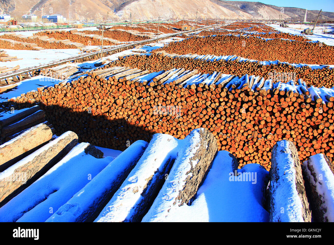 Accumulation of wood on the forest farm of Greater Khingan Range, China ...