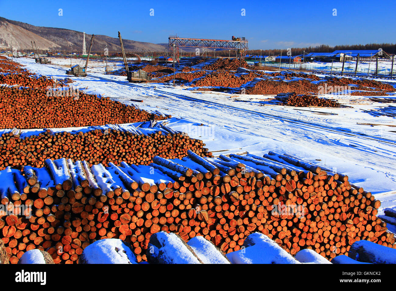 Accumulation of wood on the forest farm of Greater Khingan Range, China ...