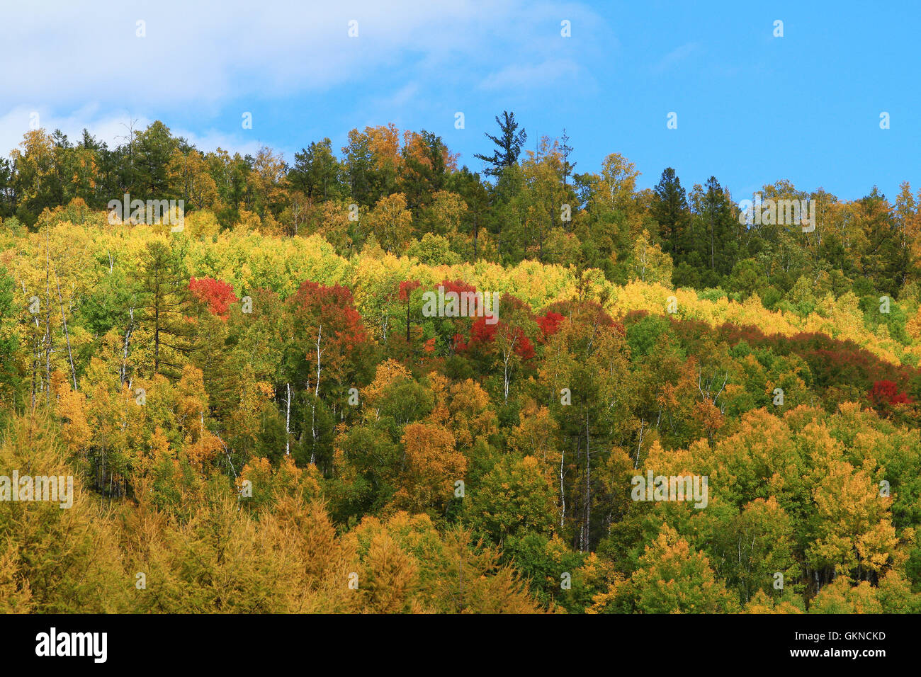 Greater khingan range hi-res stock photography and images - Alamy