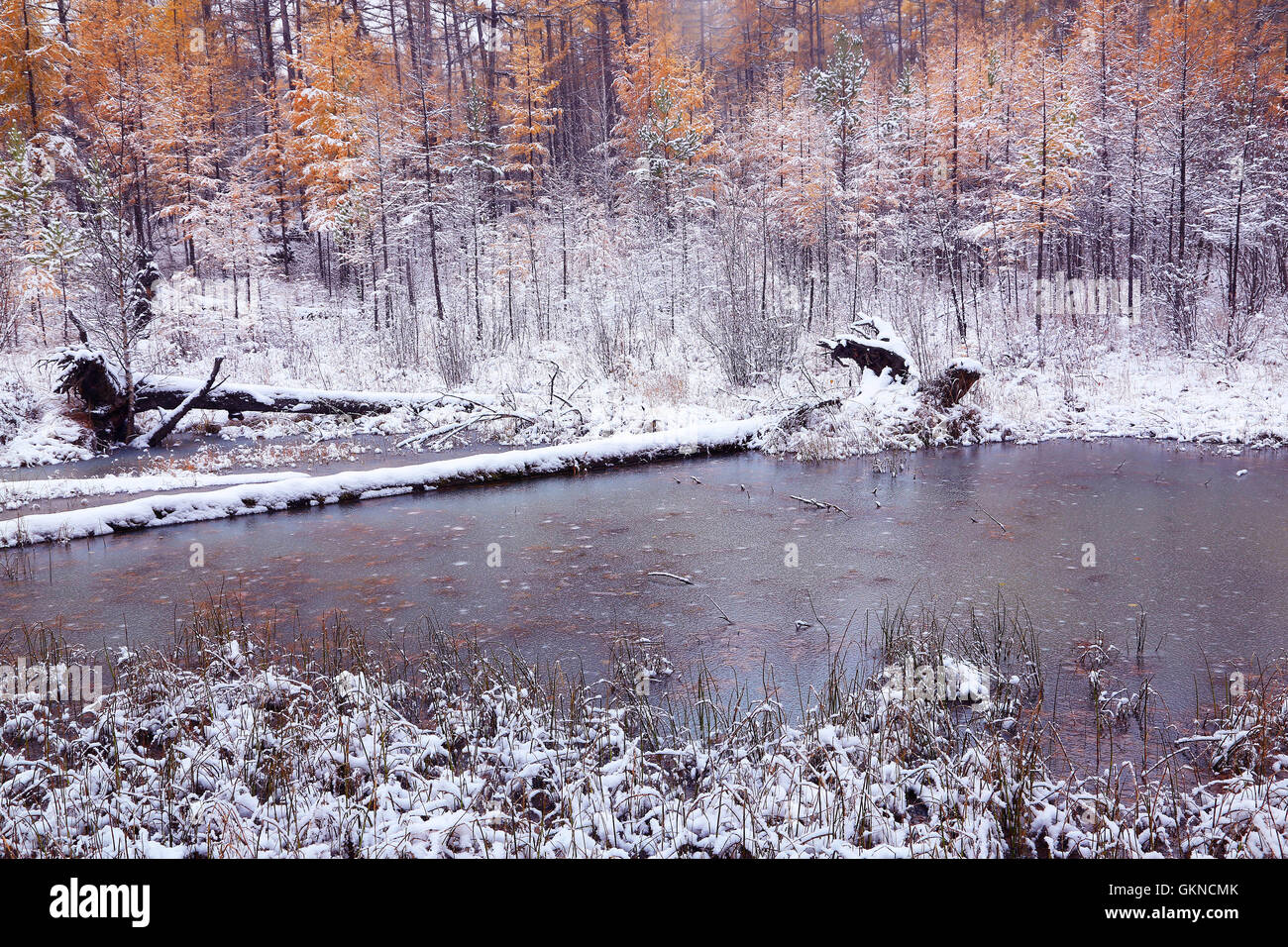 Greater khingan mountain hi-res stock photography and images - Alamy