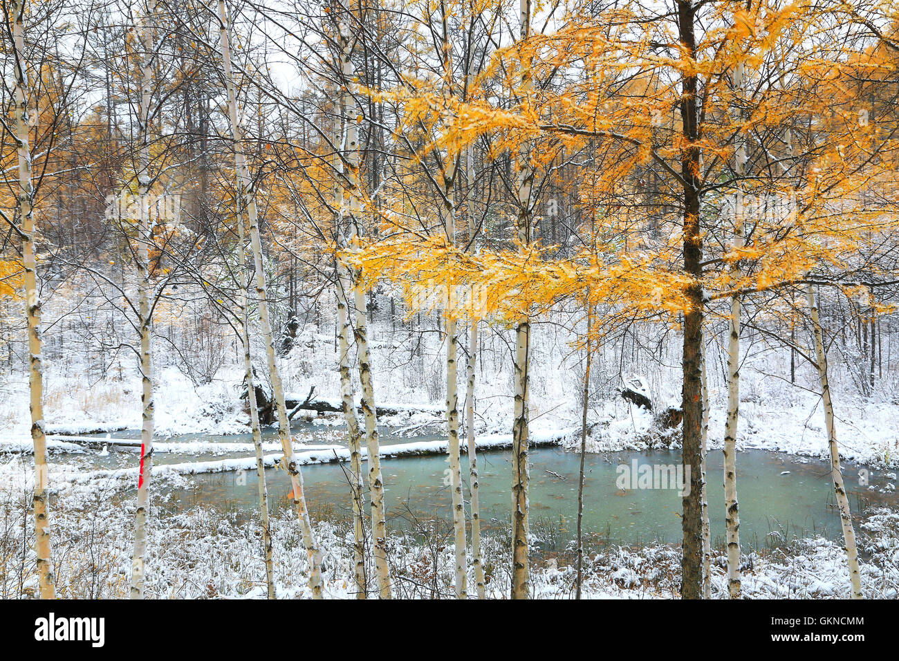 Greater khingan range hi-res stock photography and images - Alamy
