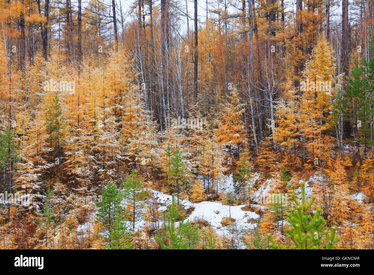 Greater khingan range hi-res stock photography and images - Alamy