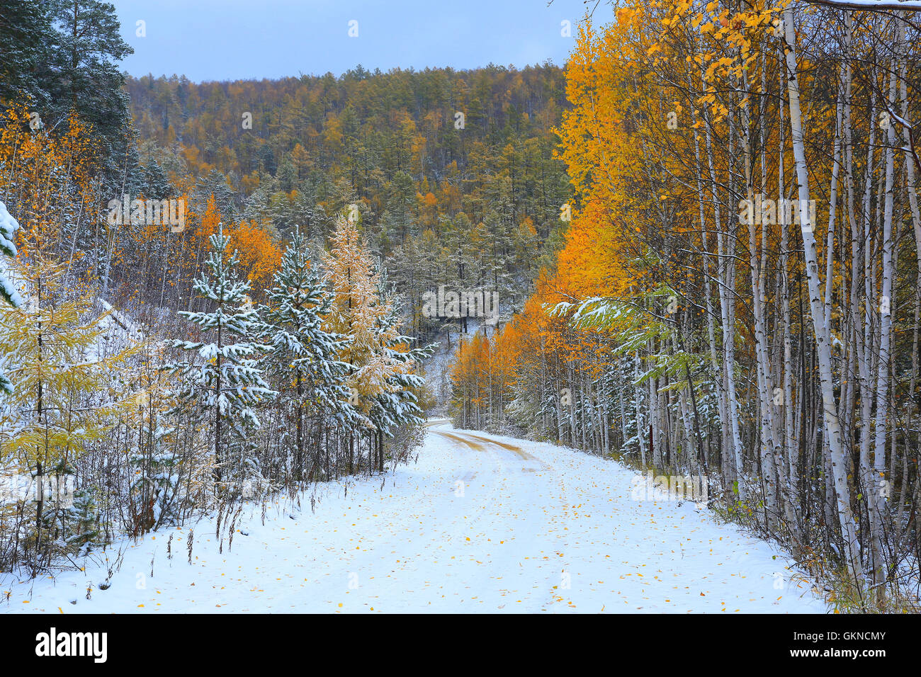 Greater khingan mountain hi-res stock photography and images - Alamy