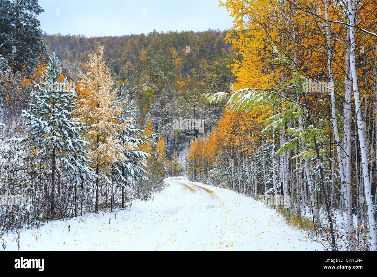 Greater khingan mountain range hi-res stock photography and images - Alamy