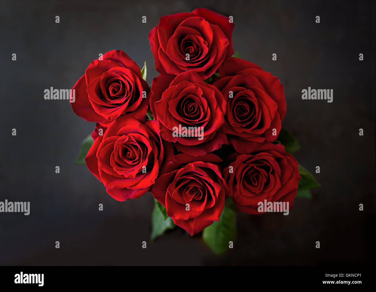 Top view red roses hi-res stock photography and images - Alamy