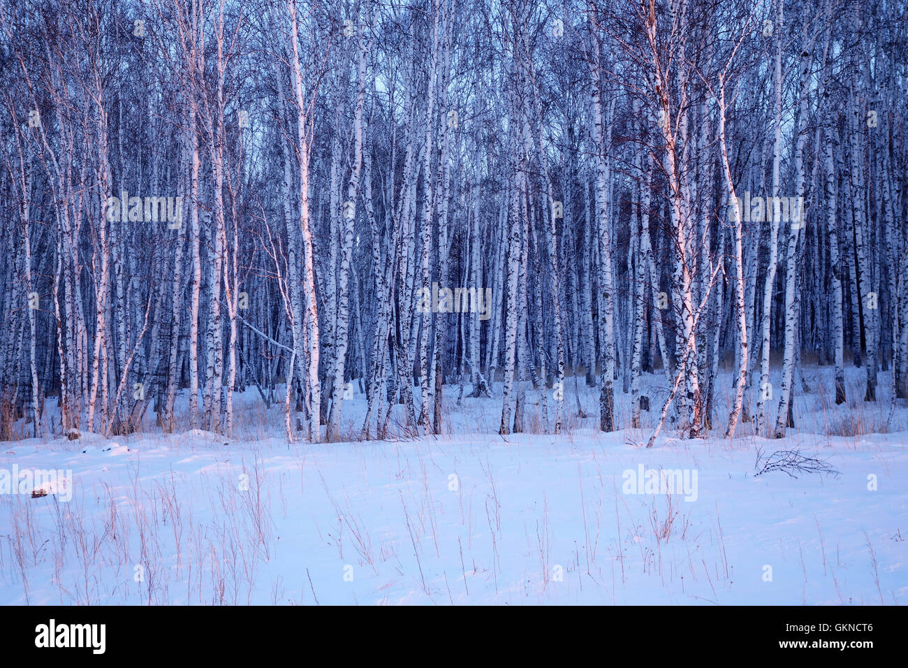 Greater khingan range hi-res stock photography and images - Alamy