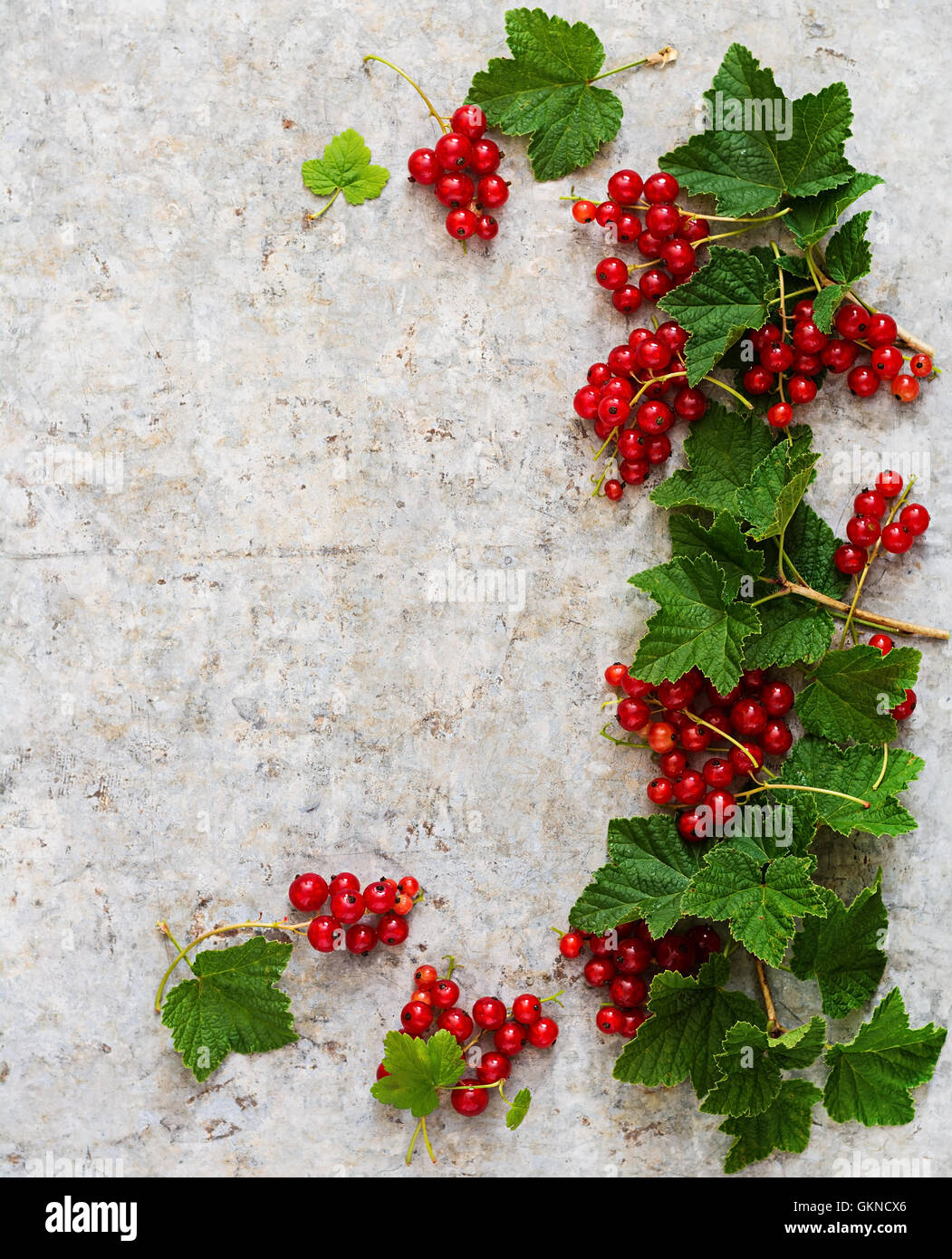 Red currant with leaves on a light background. Frame. Top view Stock ...
