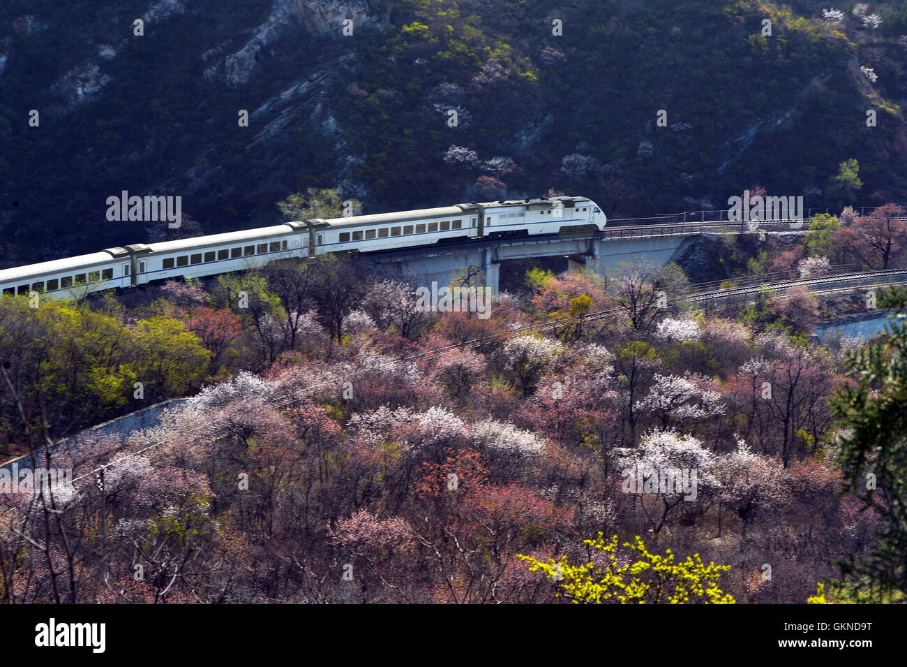 Train bound for spring Stock Photo - Alamy