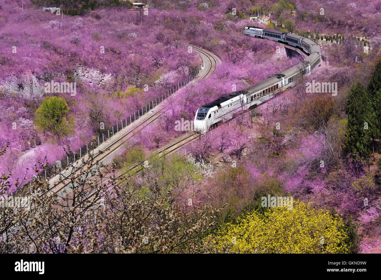 Train bound for spring Stock Photo - Alamy