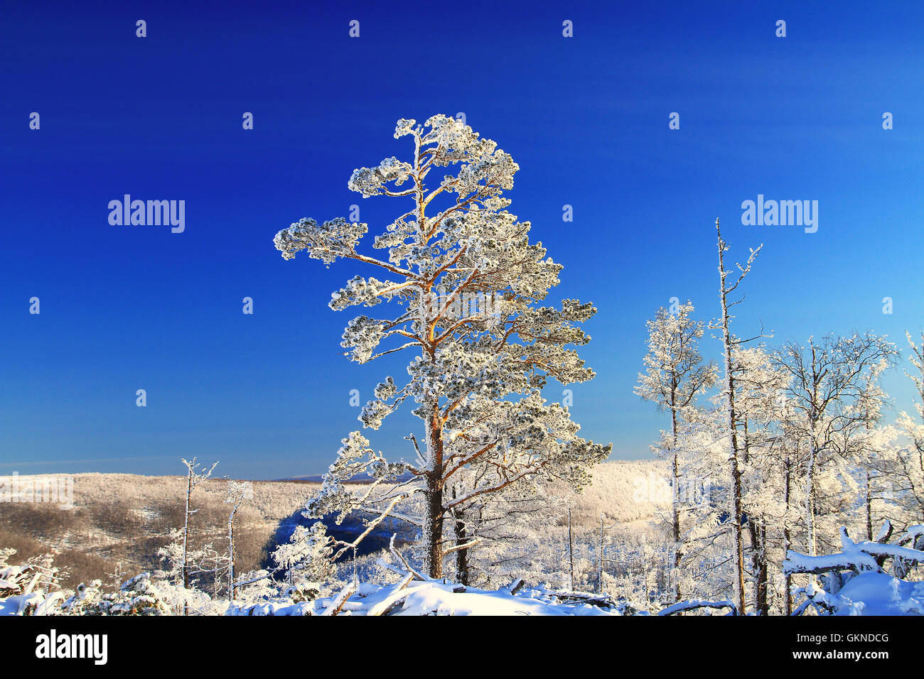 Greater khingan mountain range hi-res stock photography and images - Alamy