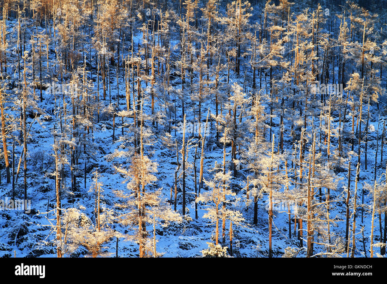 Greater khingan mountain range hi-res stock photography and images - Alamy