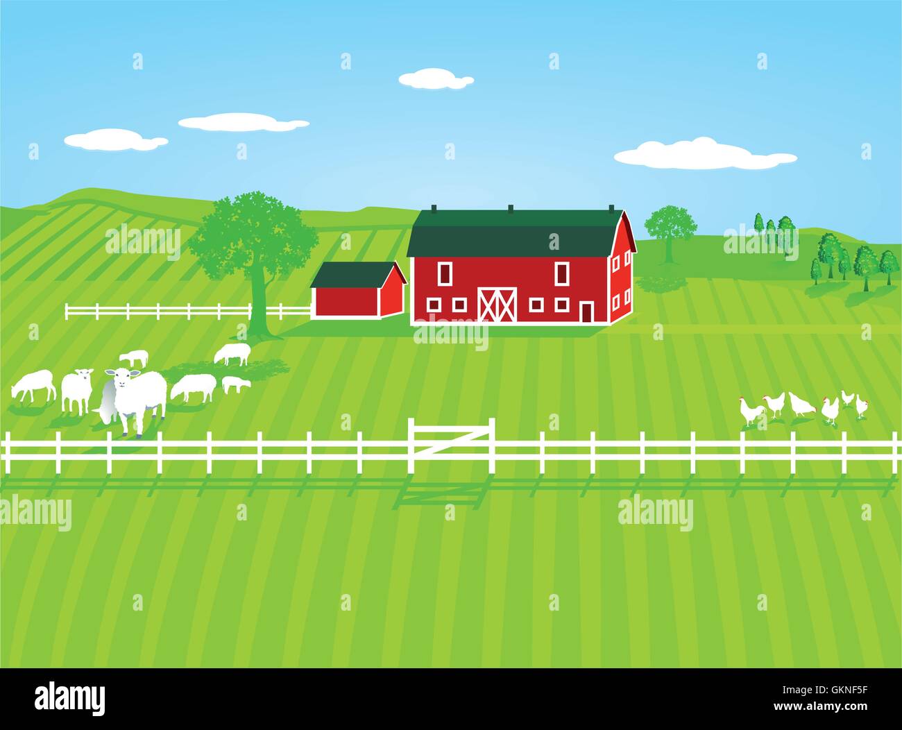 farm with sheep Stock Vector Image & Art - Alamy