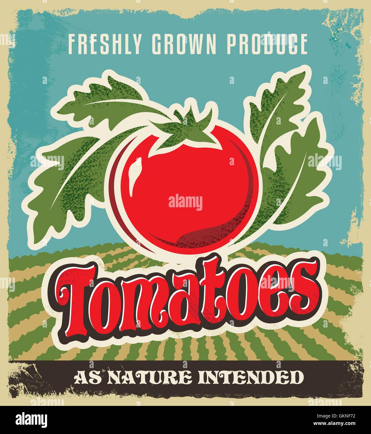 The salad project Stock Vector Images - Alamy