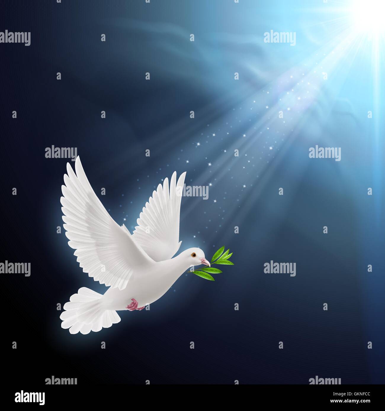 blue leaf religion god isolated flight animals elegance painting pets ...