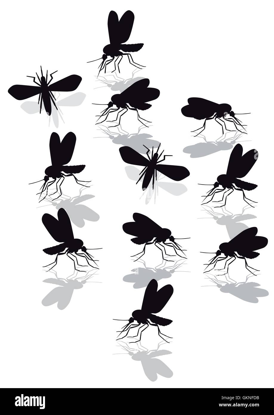 Plague remedy Cut Out Stock Images & Pictures - Alamy