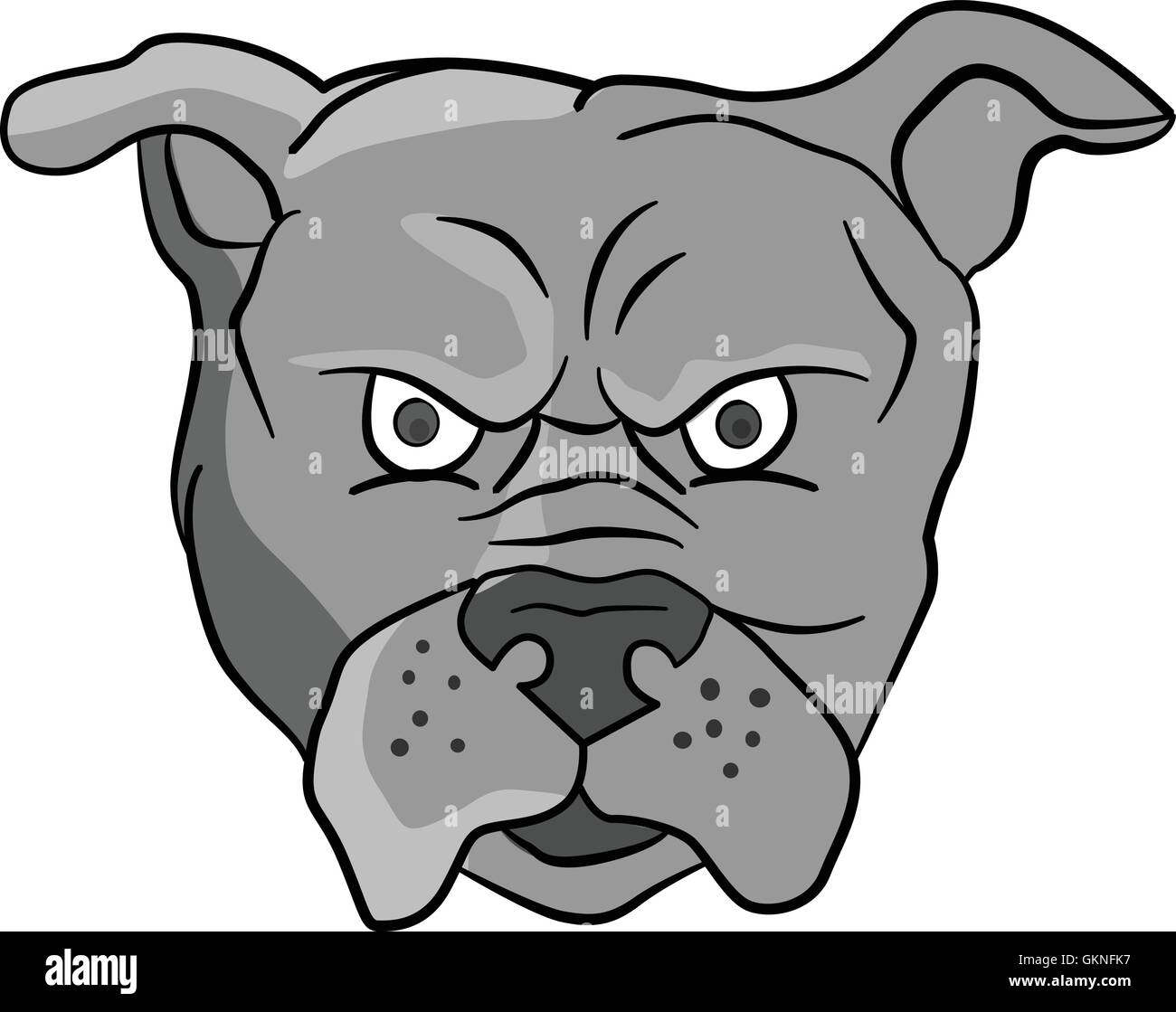 Angry Bulldog Face