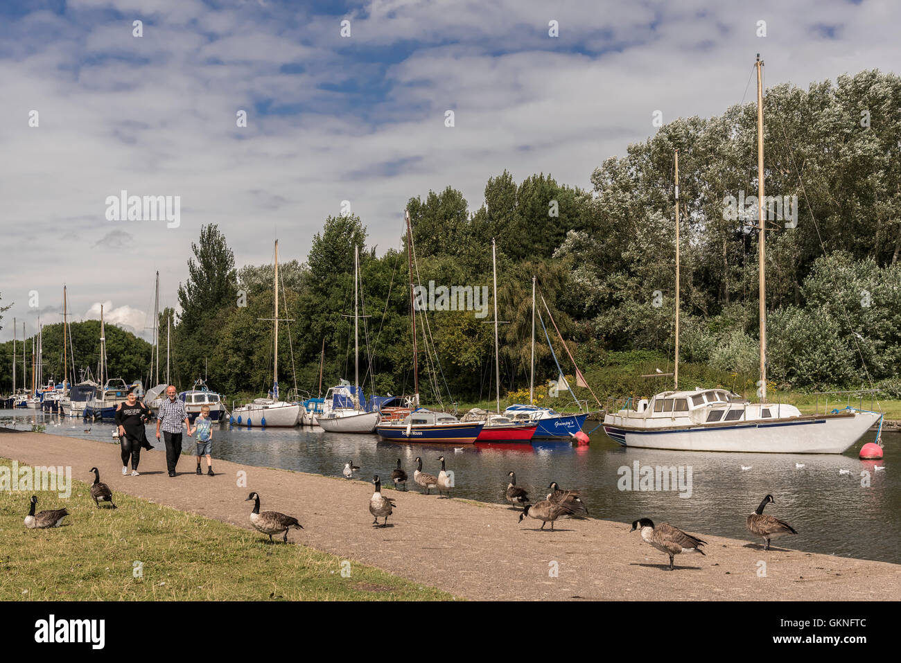 The former St. Helens canal at Spike Island in Widnes Cheshire Stock ...
