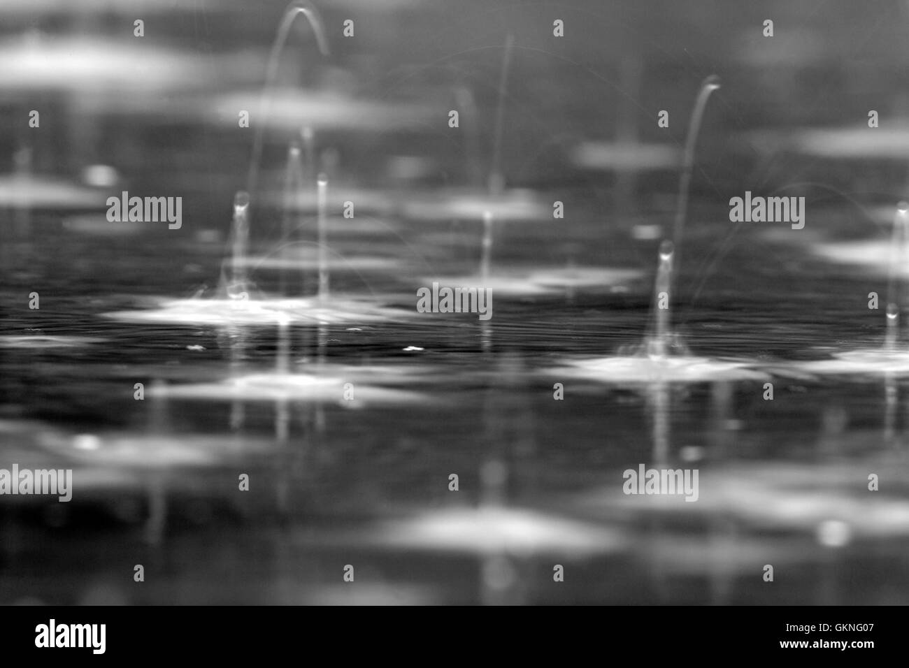 Netherlands dancing Black and White Stock Photos & Images - Alamy