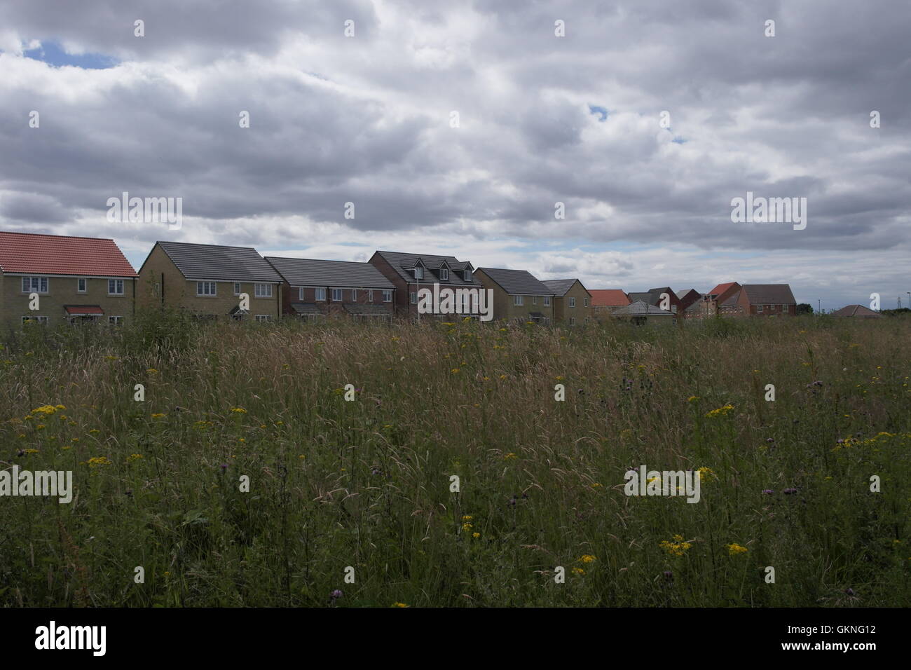 Houses in field Stock Photo - Alamy