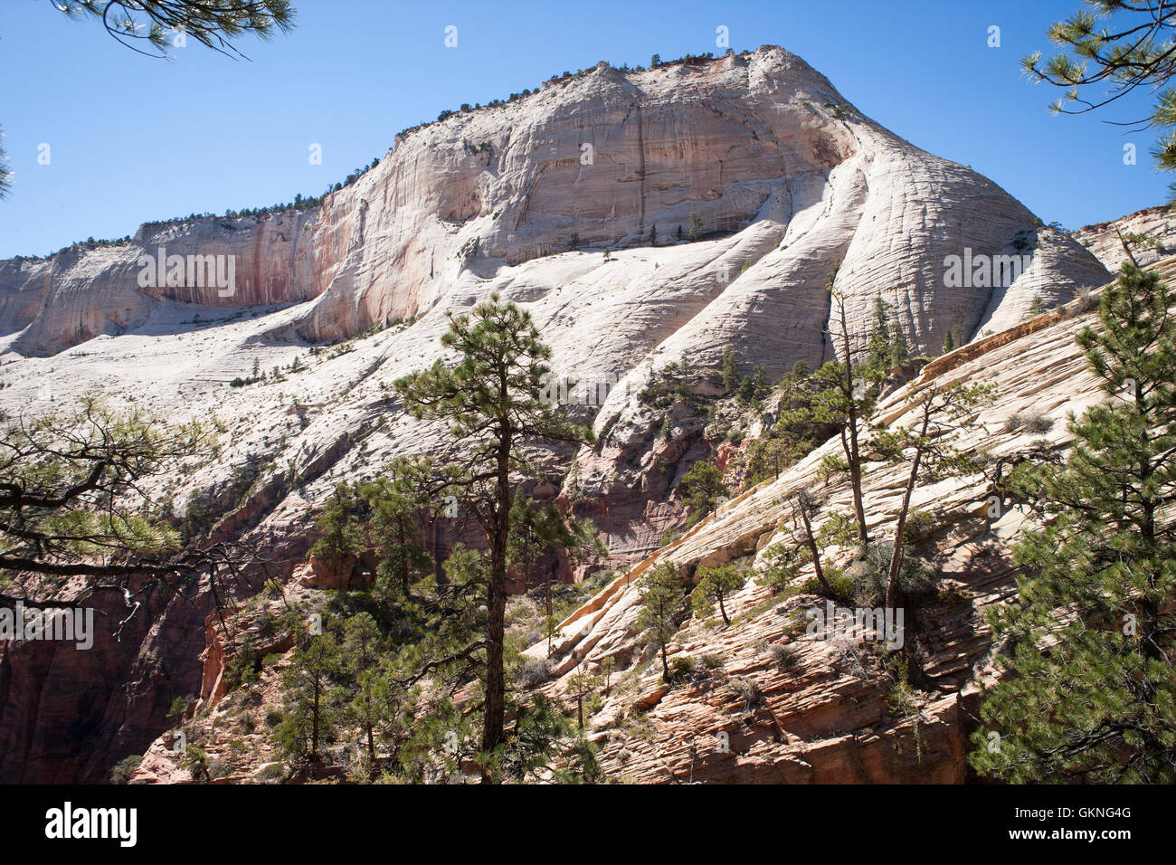 High level view in the Zion National Park Utah USA Stock Photo - Alamy