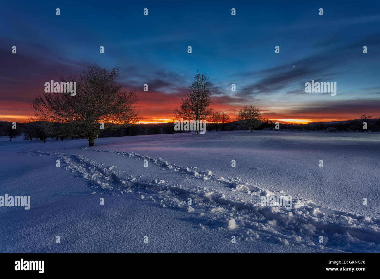 Sunrise in a cold winter morning Stock Photo - Alamy