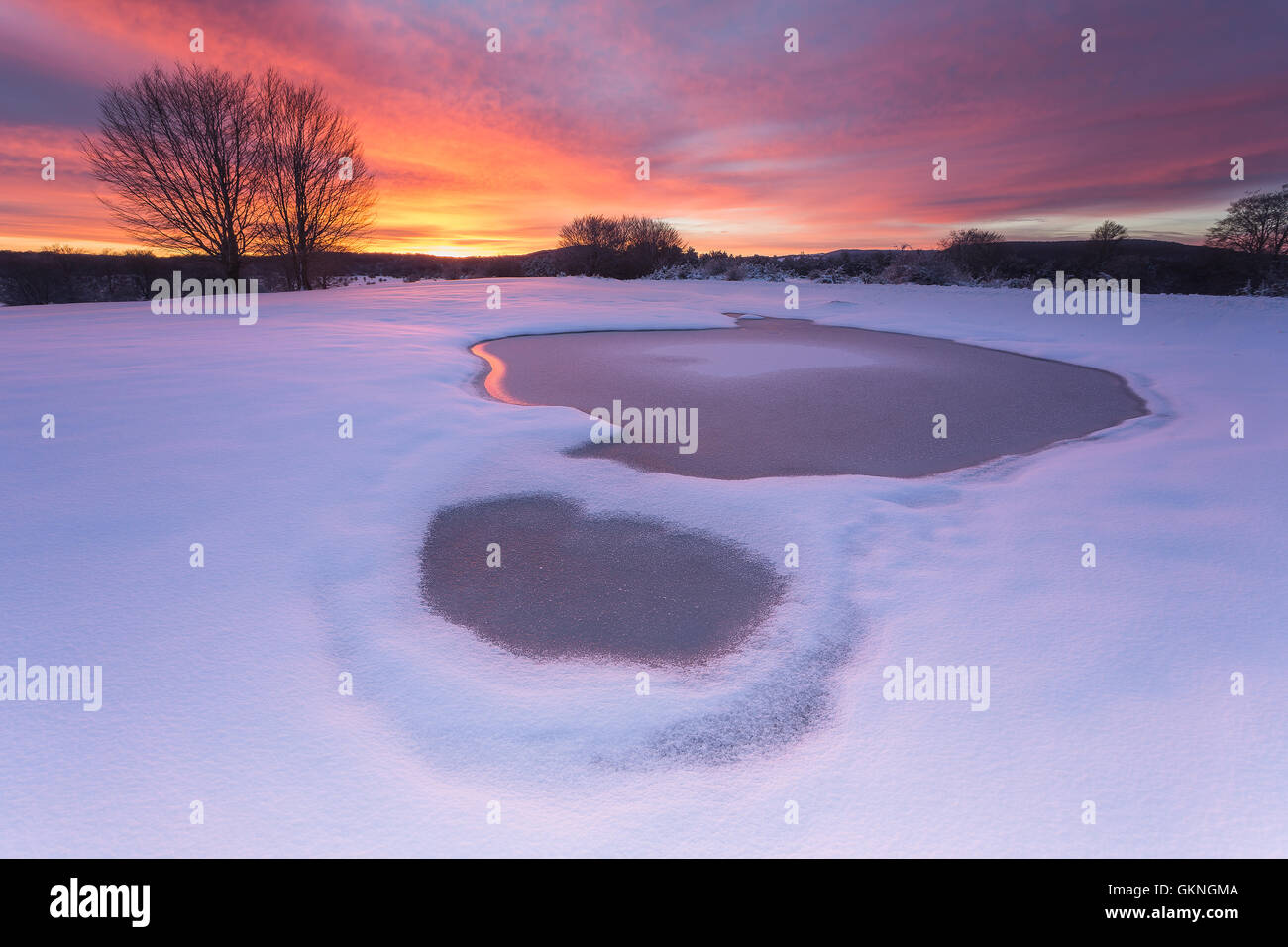Sunrise in a cold winter morning Stock Photo - Alamy