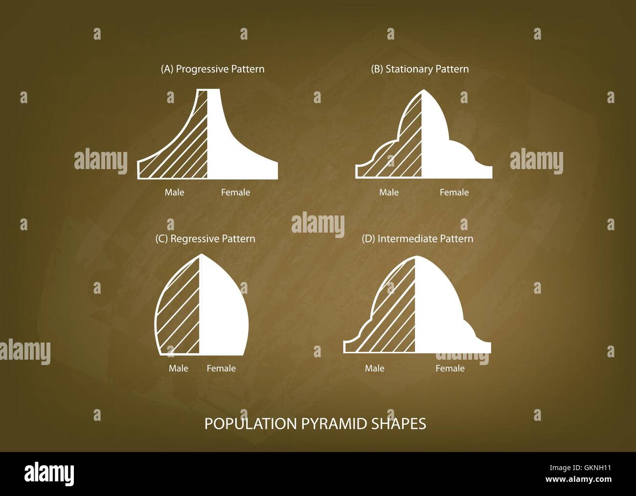 Population pyramid graph hi-res stock photography and images - Alamy