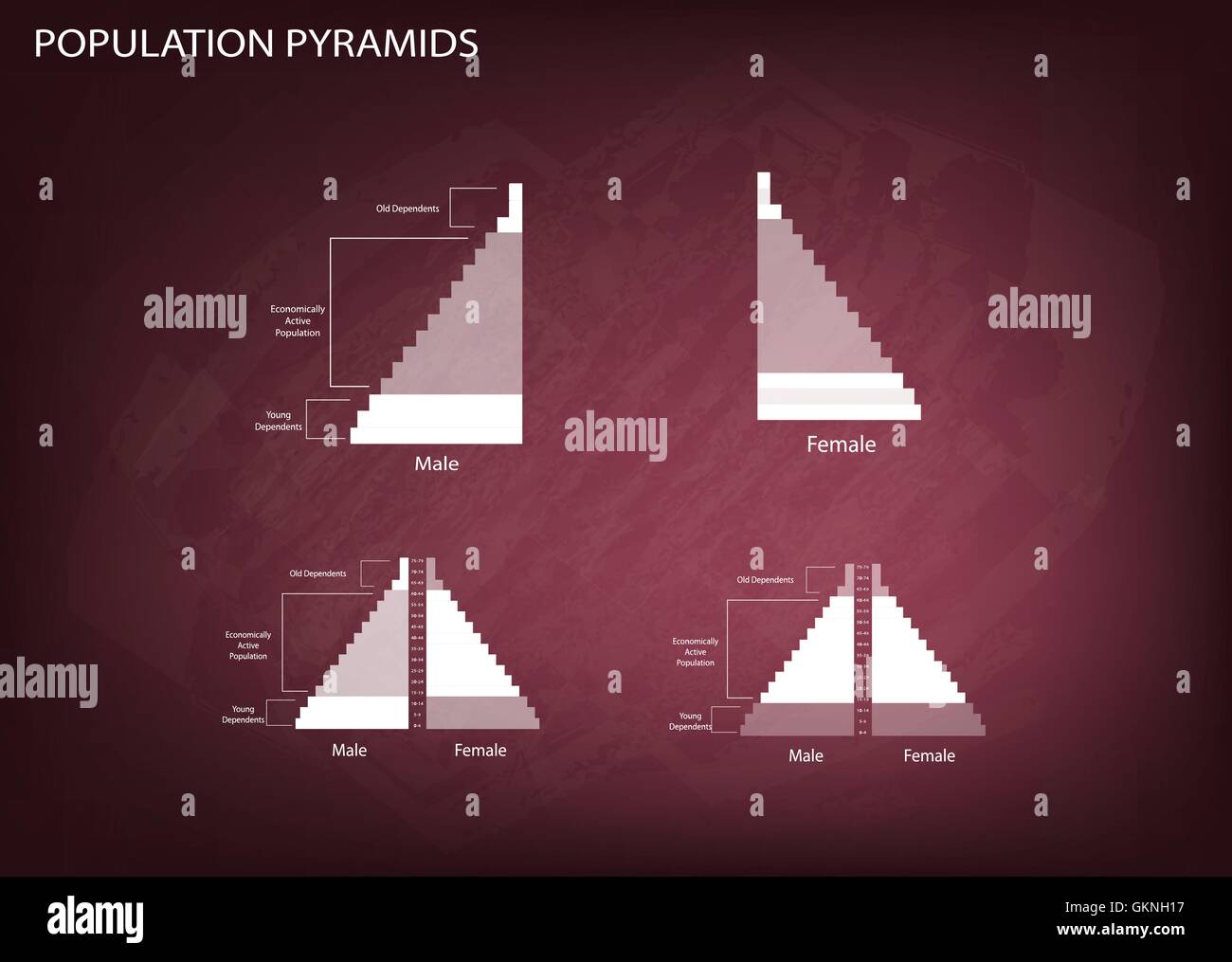 Population pyramid graph hi-res stock photography and images - Alamy