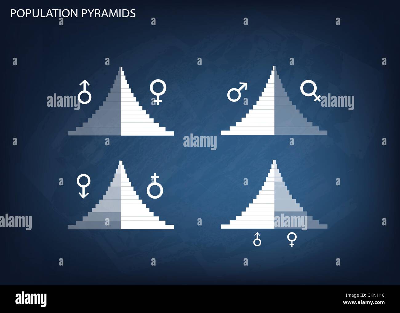 Population pyramid graph hi-res stock photography and images - Alamy