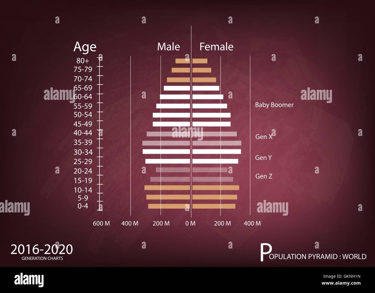 Population and Demography, Illustration of Population Pyramids Chart or Age Structure Graph with ...