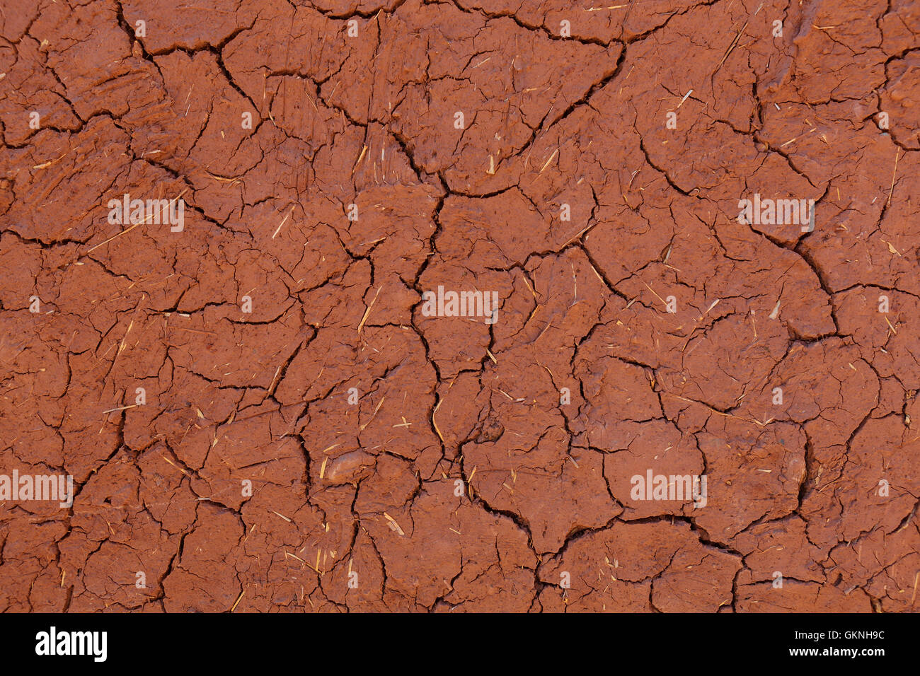 Cracked dry soil background Stock Photo - Alamy