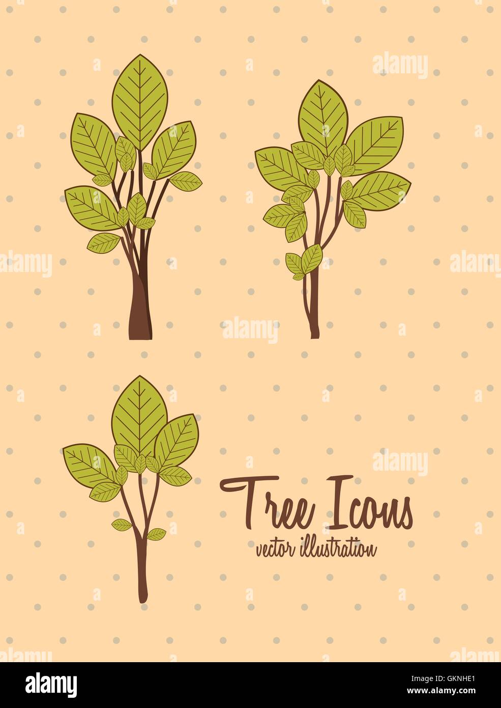 Old cedar tree Stock Vector Images - Alamy