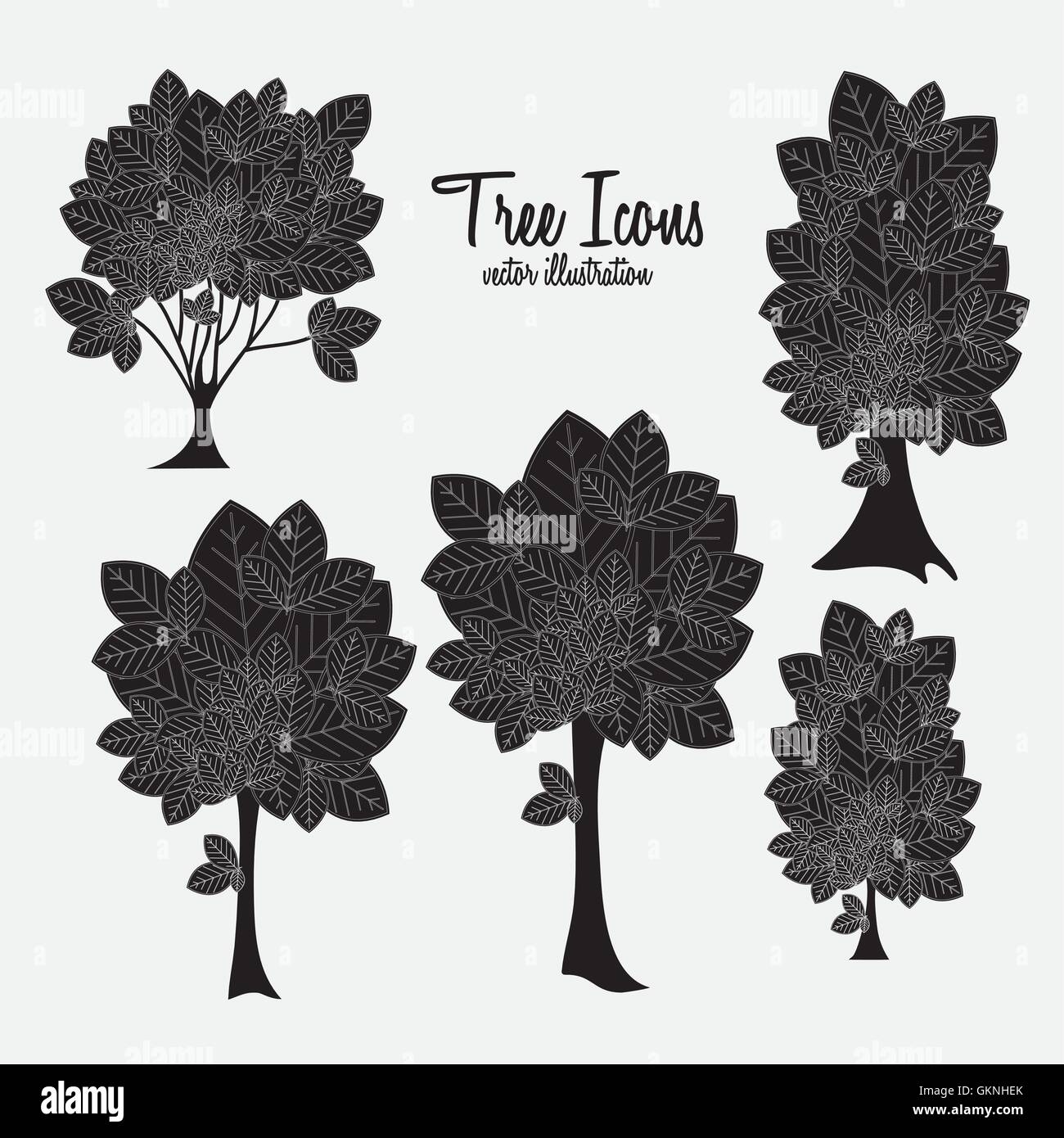 Old cedar tree Stock Vector Images - Alamy