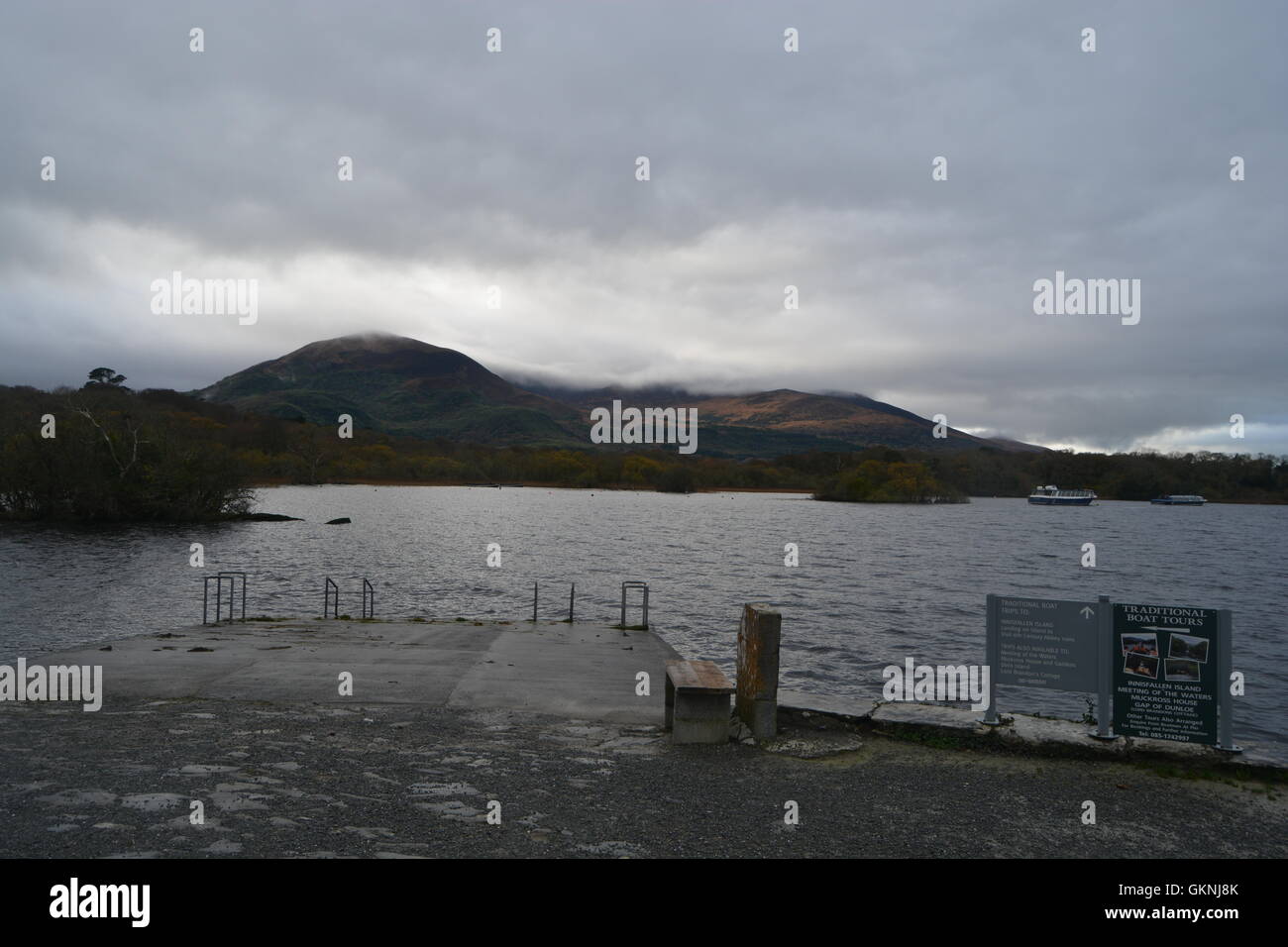 Killarney National Park, Ireland Stock Photo - Alamy
