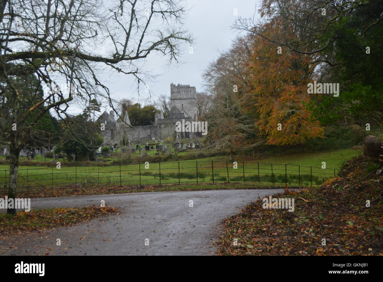 Killarney National Park, Ireland Stock Photo - Alamy