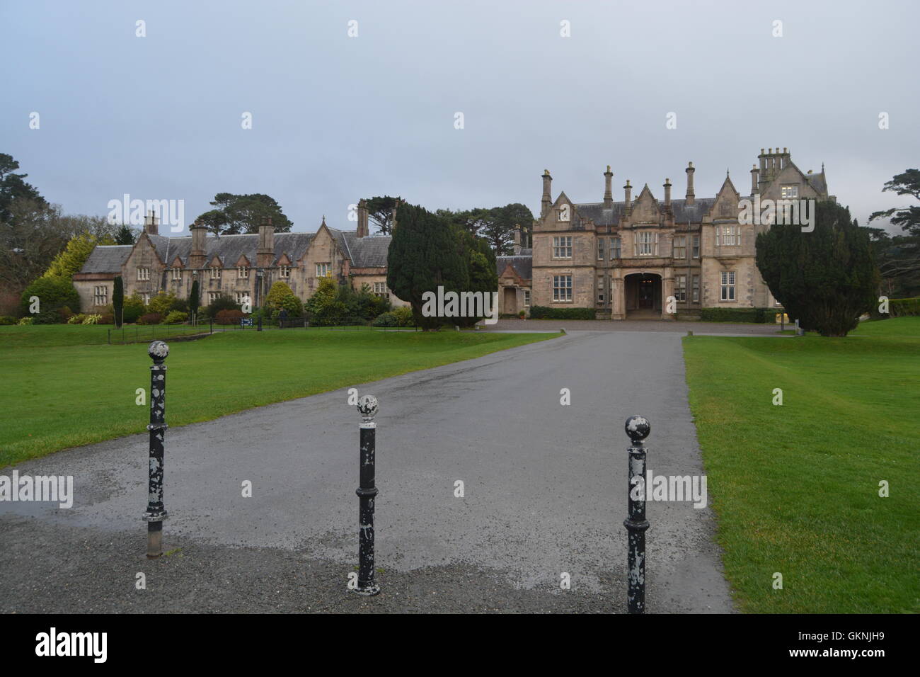Killarney National Park, Ireland Stock Photo - Alamy
