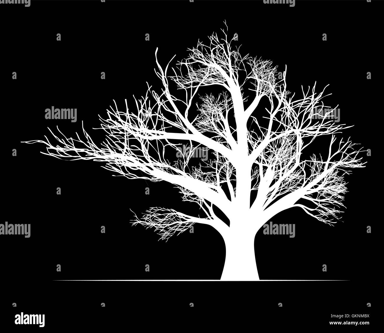 Illustration big cartoon oak tree Stock Vector Images - Alamy