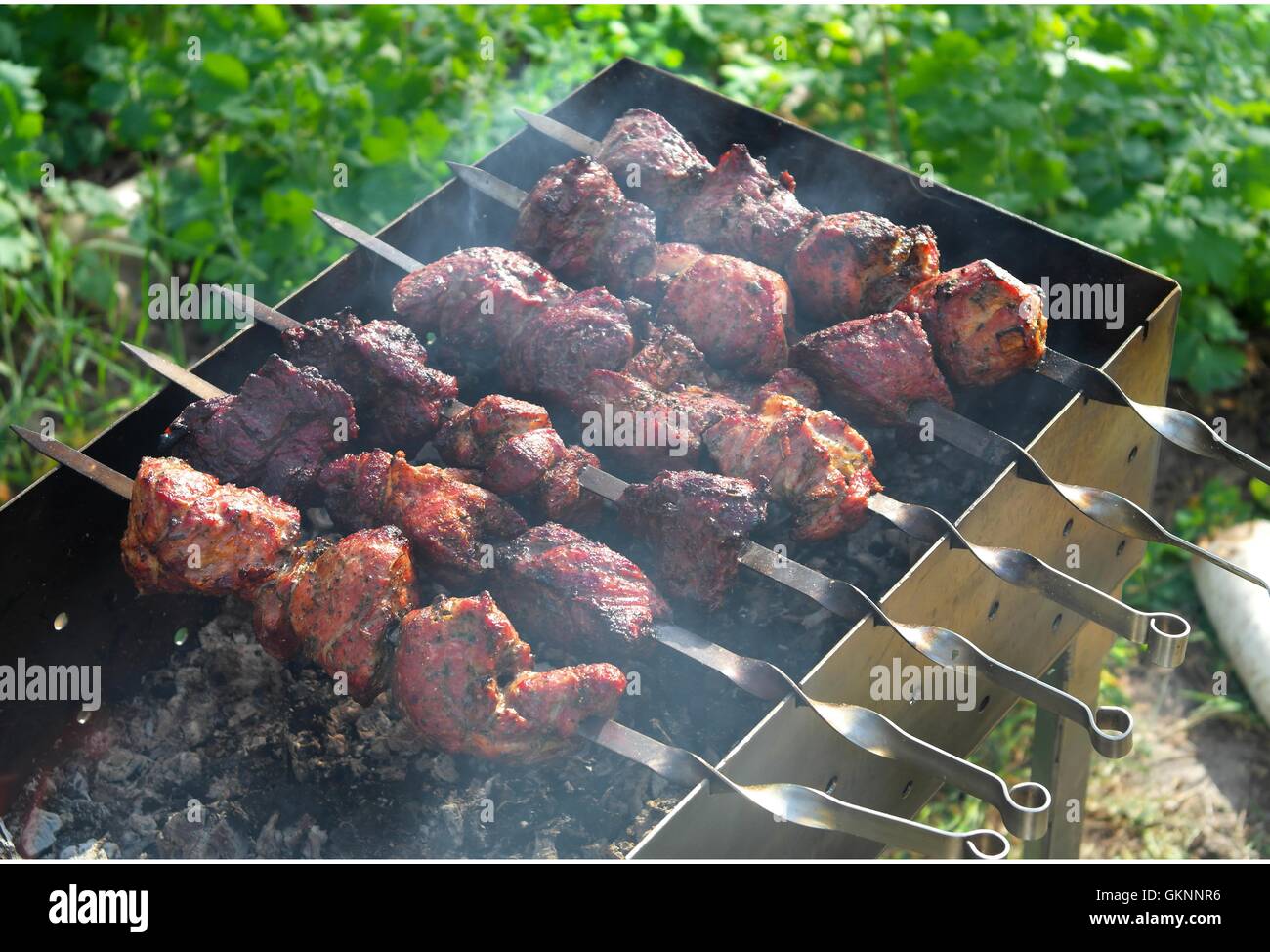 shish kebab barbecue on nature Stock Photo - Alamy