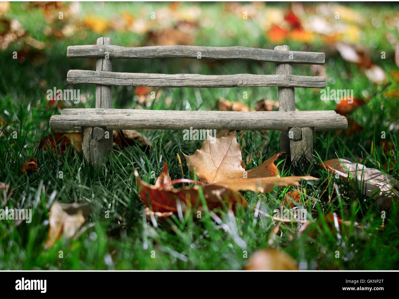 Collage bench in autumn grass Stock Photo - Alamy